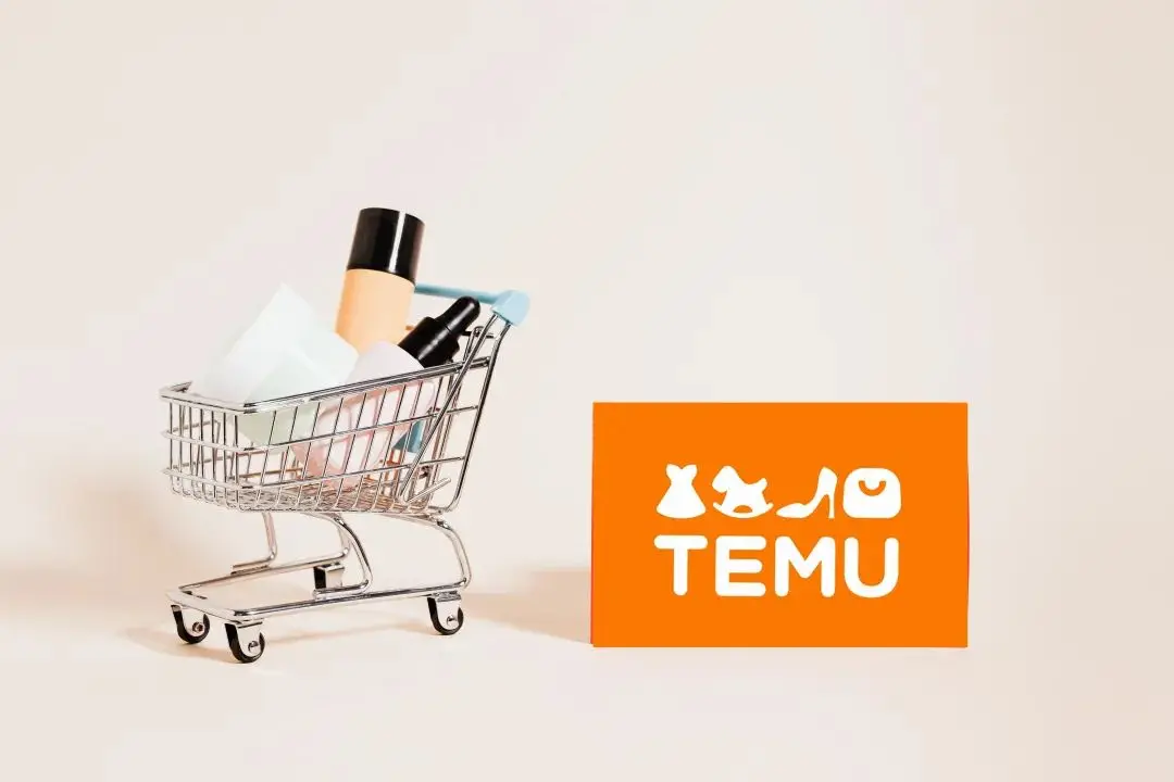 Revisiting cross-border e-commerce: What did the "most beautiful" Temu ...